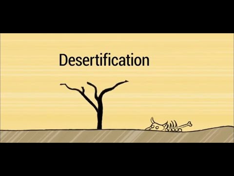 Desertification, introduction, causes and precautions.