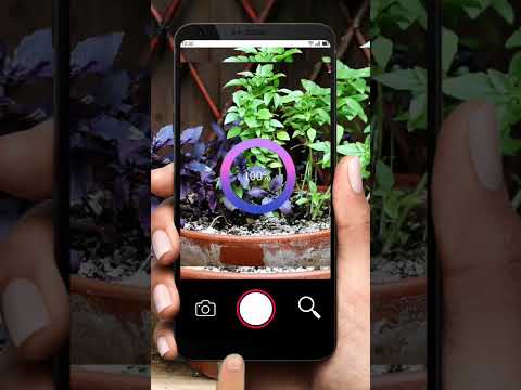 Plant identifier App Name (Picture this)