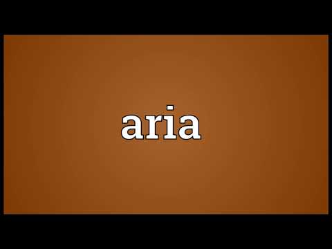 Aria Meaning