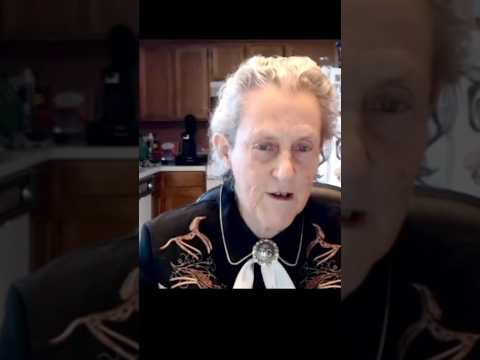 Early Intervention for Autism - Dr. Temple Grandin