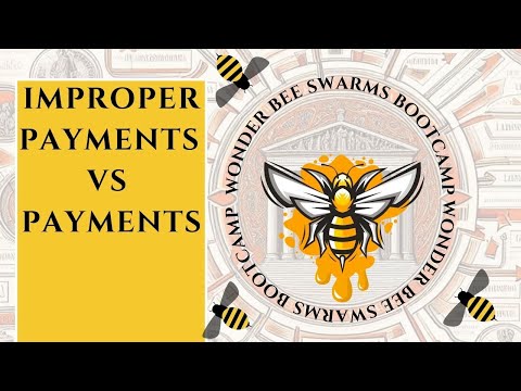 IMPROPER PAYMENTS VS PAYMENTS