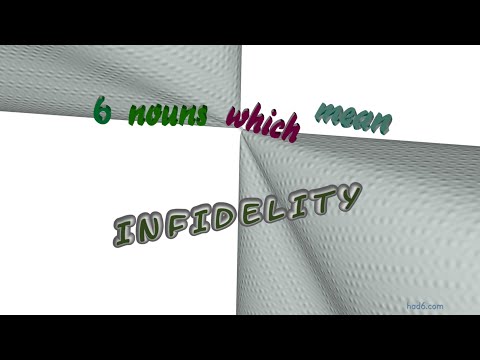 infidelity - 7 nouns synonym to infidelity (sentence examples)