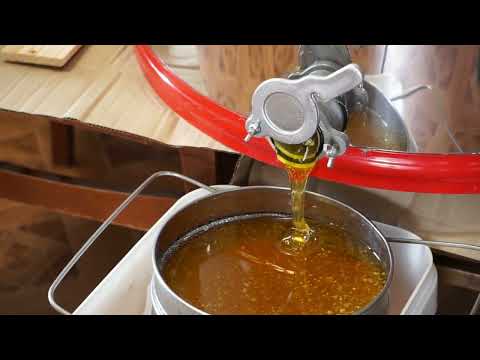 Viscosity: Fundamentals of Fluid Mechanics || Engineering Mechanics|| #fluid #science #engineering