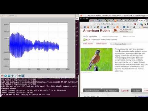 Visualizing Bird Calls with Python