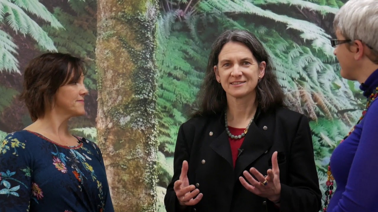 EMBARK - thinkstep and Catapult