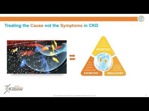 The Targeted Pro & Prebiotic for Kidney Health Supplement, Renadyl™, sponsored by Kibow Biotech