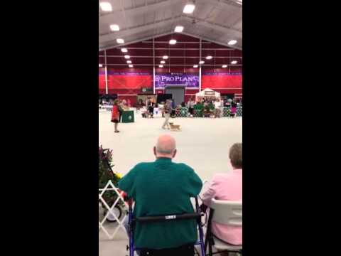 PWCCA nationals- 2013