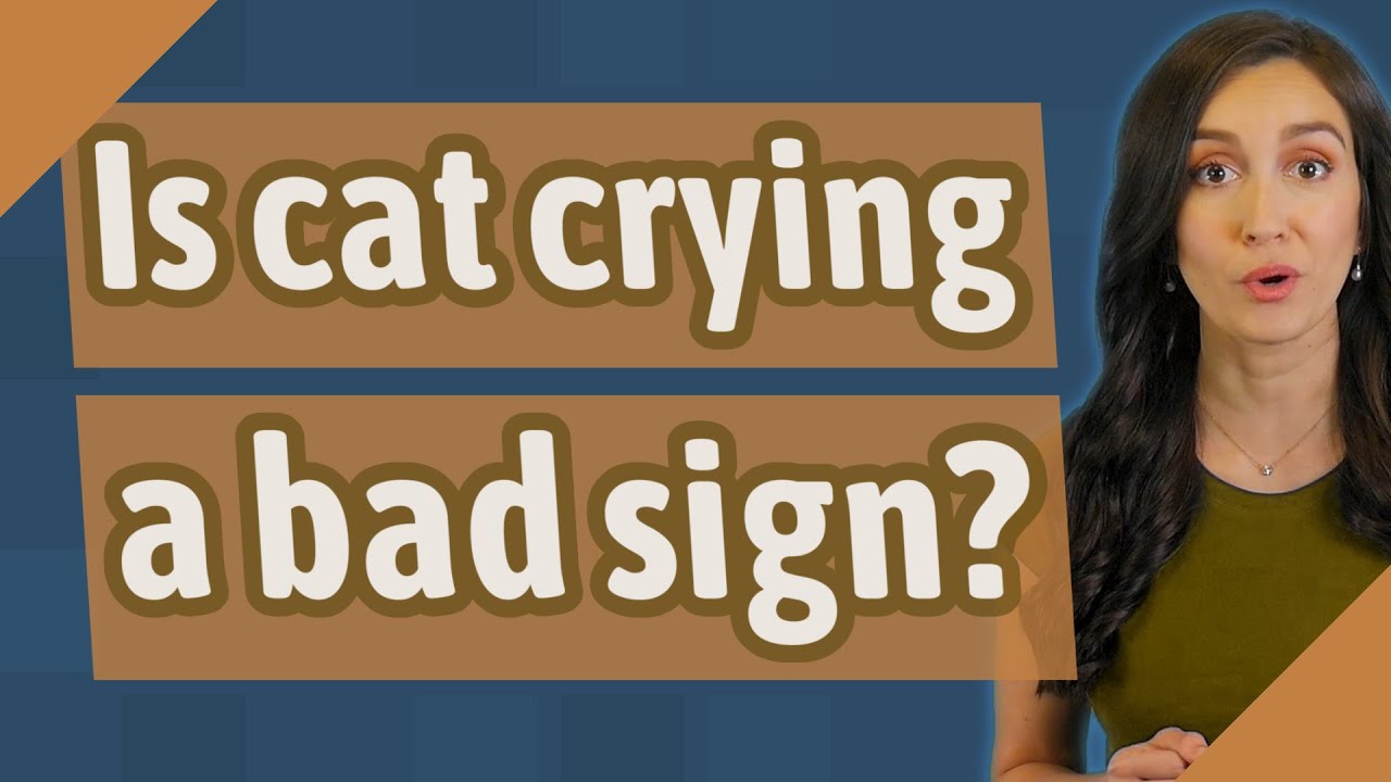 Is cat crying a bad sign?