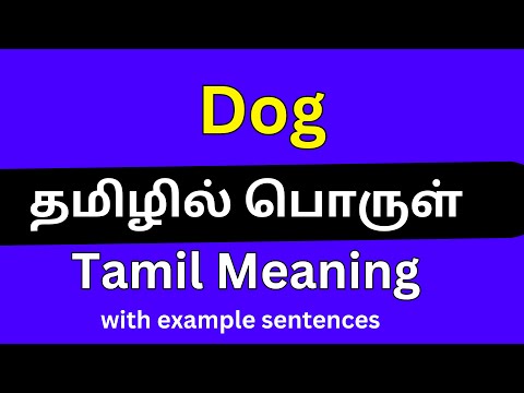 Dog meaning in Tamil/Dog தமிழில் பொருள்