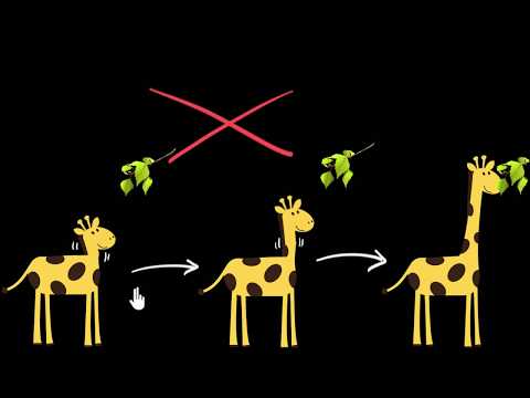 Acquired vs inherited traits | Heredity & Evolution | Biology | Khan Academy