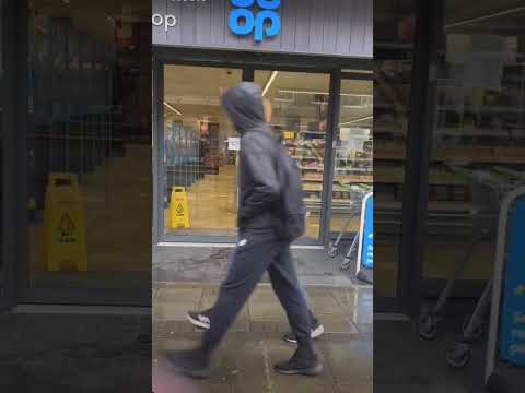 Seagull bird stealing food from grocery store. Smart move, why worry when god pays your bill.
