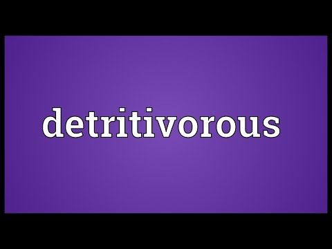 Detritivorous Meaning