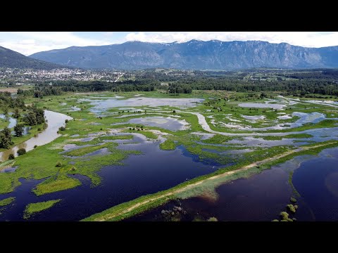 The Wetlands a Short Film