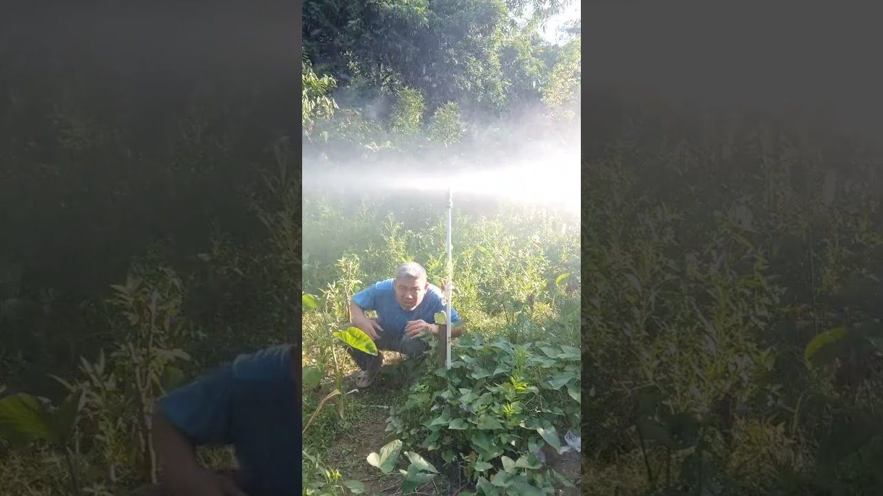 Garden watering rotating sprinkler head Agricultural vegetable watering sprinkler head High perf