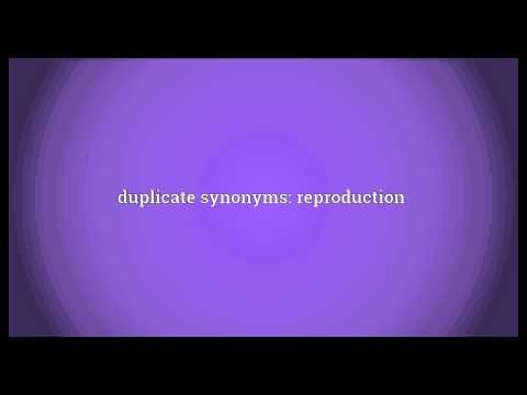 Duplicate Meaning