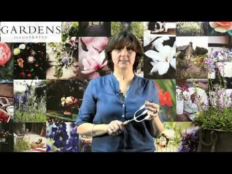 Gardens Illustrated Magazine's Special Subscription Offer
