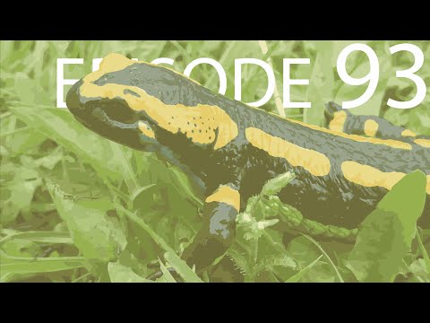 Episode 93 - Vertebrata II - Amphibians