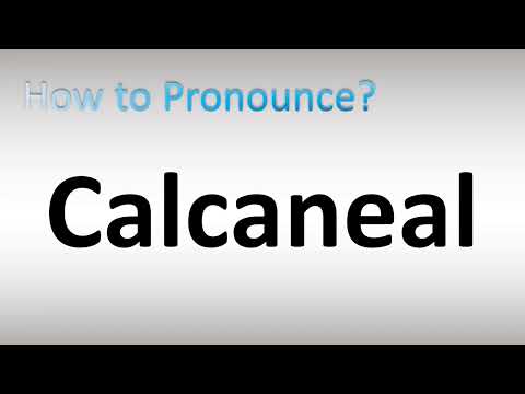 How to Pronounce Calcaneal