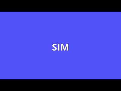 what is the meaning of SIM.