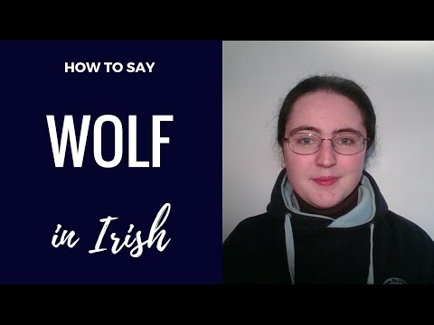 How to say | wolf in Irish