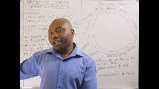 G7-CTS-Drawing and Colouring-Exercise – Smartlen Education