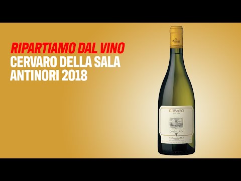 Ripartiamo dal vino: Cervaro della Sala Antinori 2018