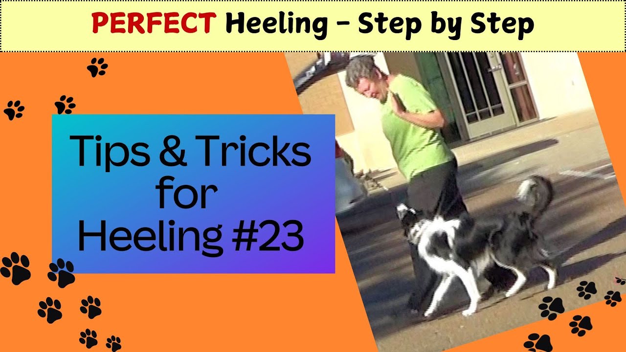 Heeling Tips & Tricks #23 - DebbyQuigley.com
