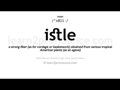 Pronunciation of Istle | Definition of Istle