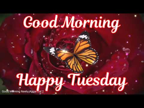 Happy Tuesday Wishes,Happy Tuesday Whatsapp Status Video,Happy Tuesday Gifs,Happy Tuesday E-Card