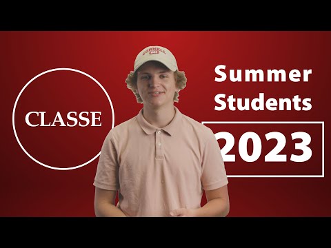 2023 Summer Student Experience - Bailey Phillips