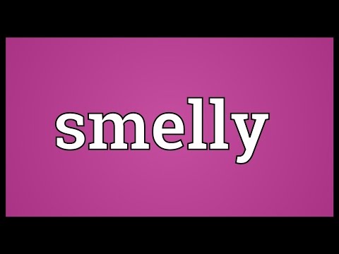 Smelly Meaning