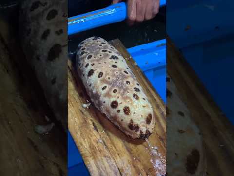 The Ocean's Dragon Fruit?! π