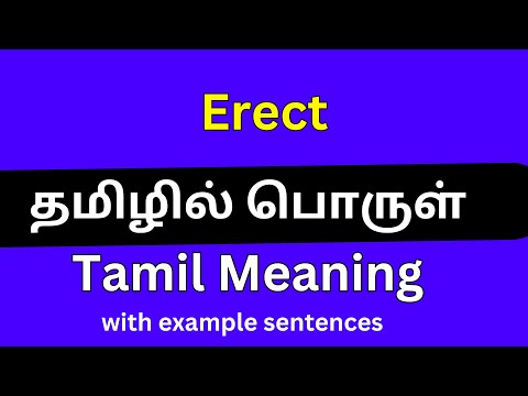Erect meaning in Tamil/Erect தமிழில் பொருள்