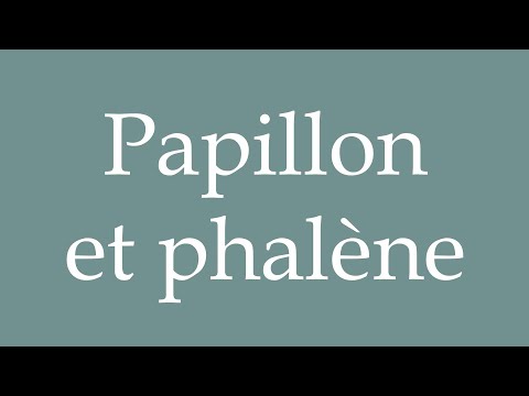 How to Pronounce ''Papillon et phalène'' (Butterfly and moth) Correctly in French