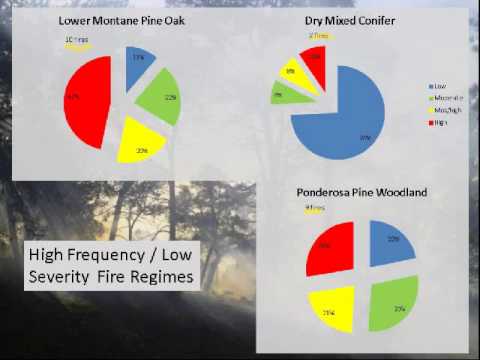 Fire Legacy's Role in Current and Future Fire Management in the Southwestern United States