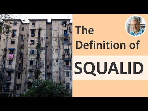 What is the Definition of SQUALID? (Illustrated Example)