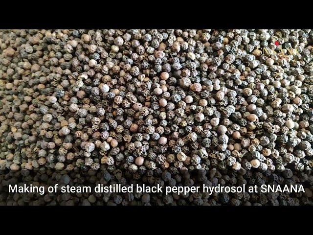Aroma Chemicals - Thiomenthone Chemical For Food Manufacturer from ...