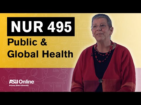 NUR 495 - Public and Global Health Course Overview