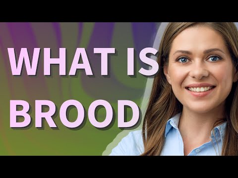 Brood | meaning of Brood