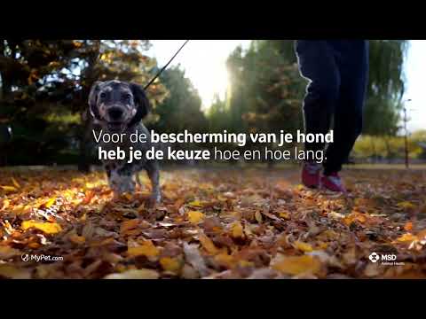Ik ben beschermd. En die van jou?