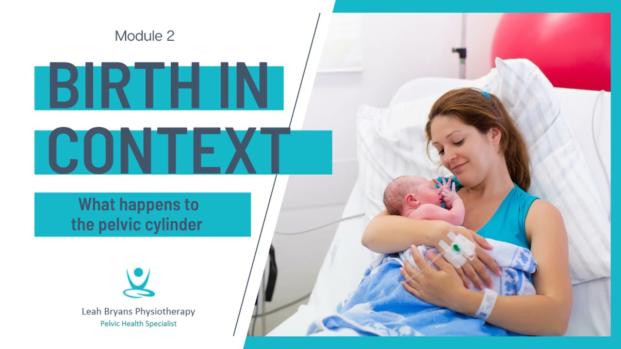 Video 2 - Pelvic Anatomy In The Context Of Pregnancy Part Two ...