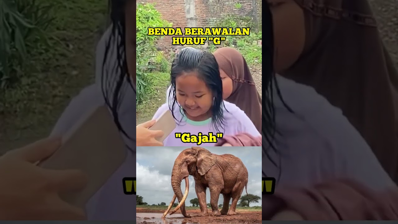 BENDA BERAWALAN 