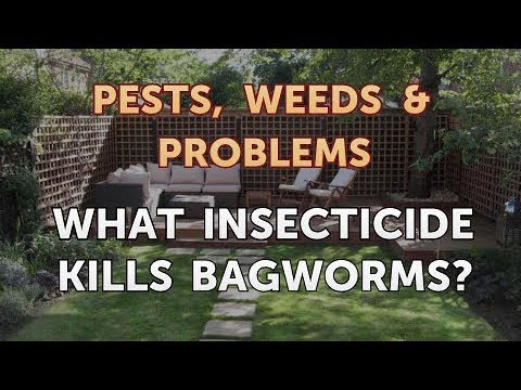 What Insecticide Kills Bagworms?