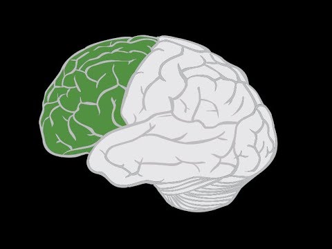 psych - frontal lobe