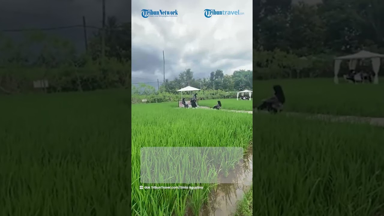 Objek Wisata Tengah Sawah yang Estetik, Svargabumi Tawarkan 30 Spot ...