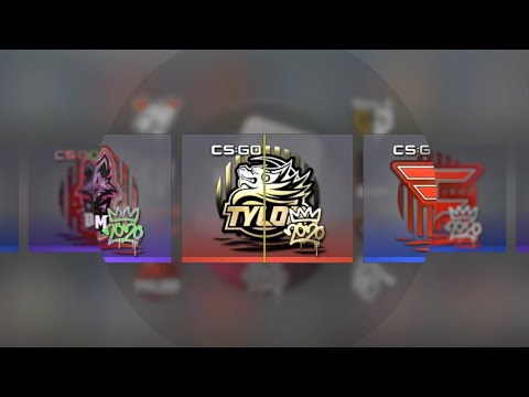 Steam Community :: Video :: Выбил 2 золотые наклейки с капсулы РМР 2020 | TYLOO и FaZe