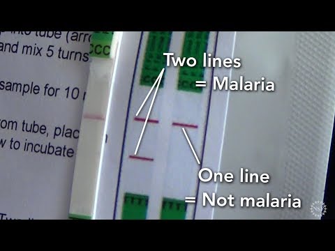 A cheaper, easier way to test for malaria