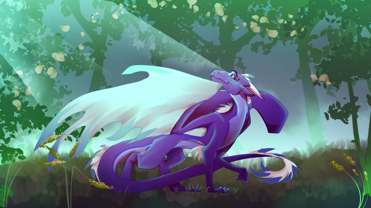 Echo Banner Contest Entry