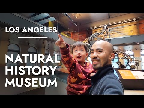 Natural History Museum of Los Angeles County - Dinosaur Skeletons & Animal Diorama Exhibits