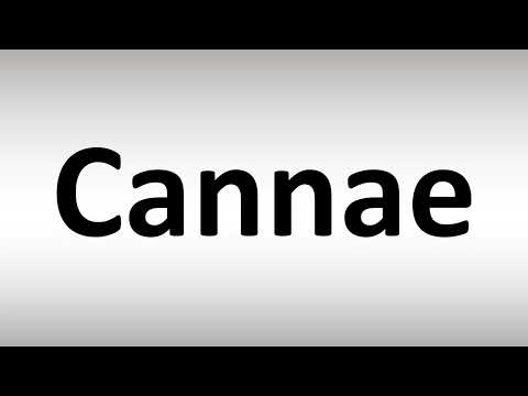 How to Pronounce Cannae